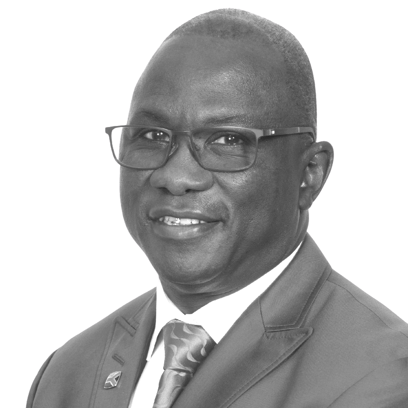 Our Team | Board & Executive T